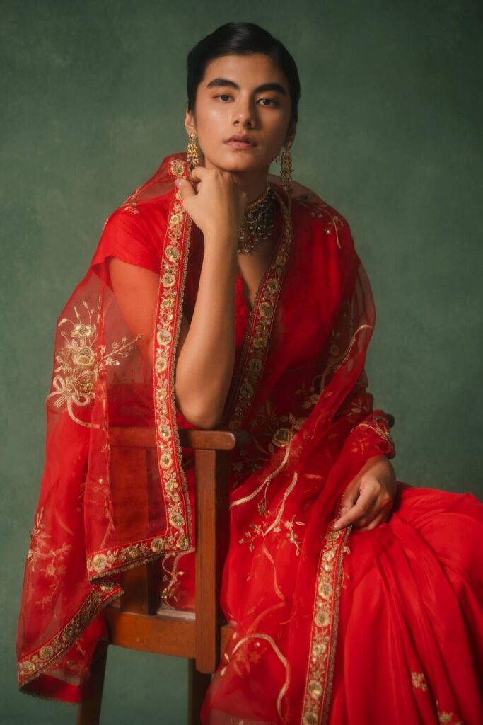 Nilofer Red Sari – Anavila